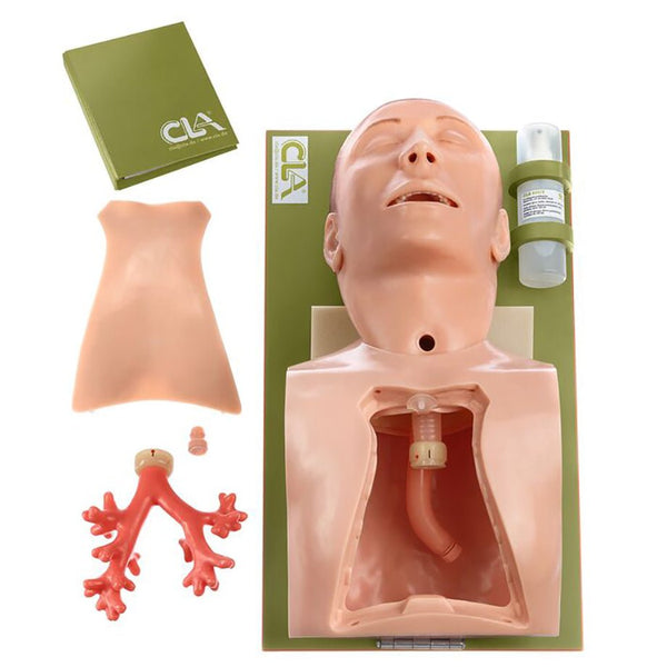 Intubation and Bronchoscopy Phantom – GTSimulators.com