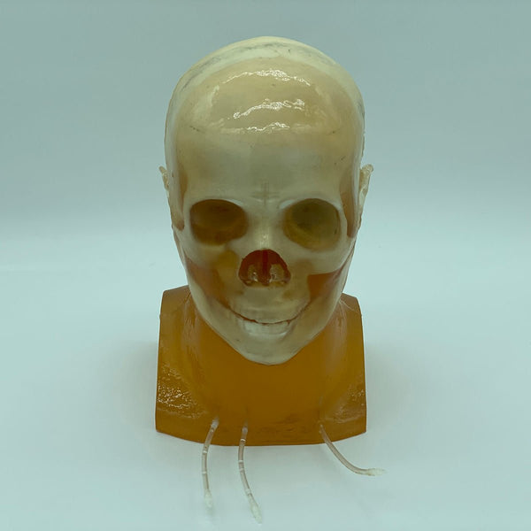 Standard Adult Head Phantom for X-Ray CT, Ultrasound and MRI – GTSimulators.com