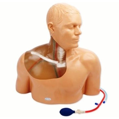 Blue Phantom Head, Neck and Upper Torso Imaging Simulators – Tagged ...