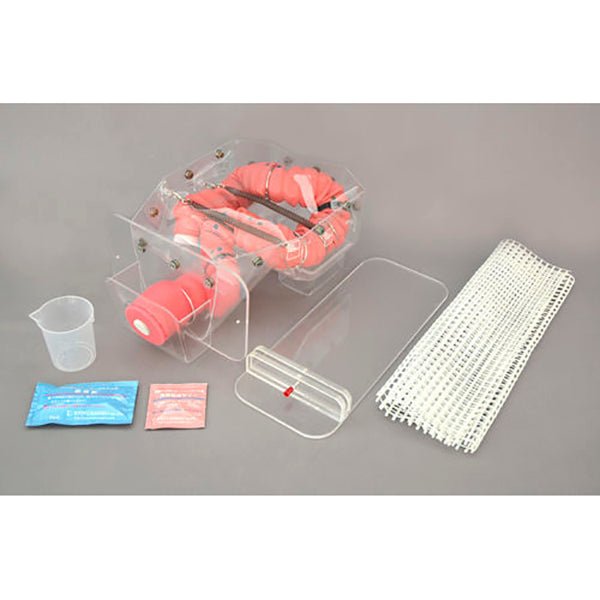 3D Colonoscope Training Simulator NKS – GTSimulators.com