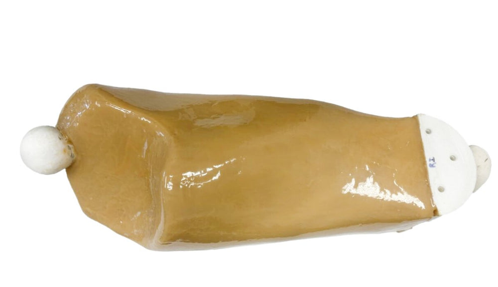 Adult Full Human Body Phantom for X-Ray CT & MRI Training ...