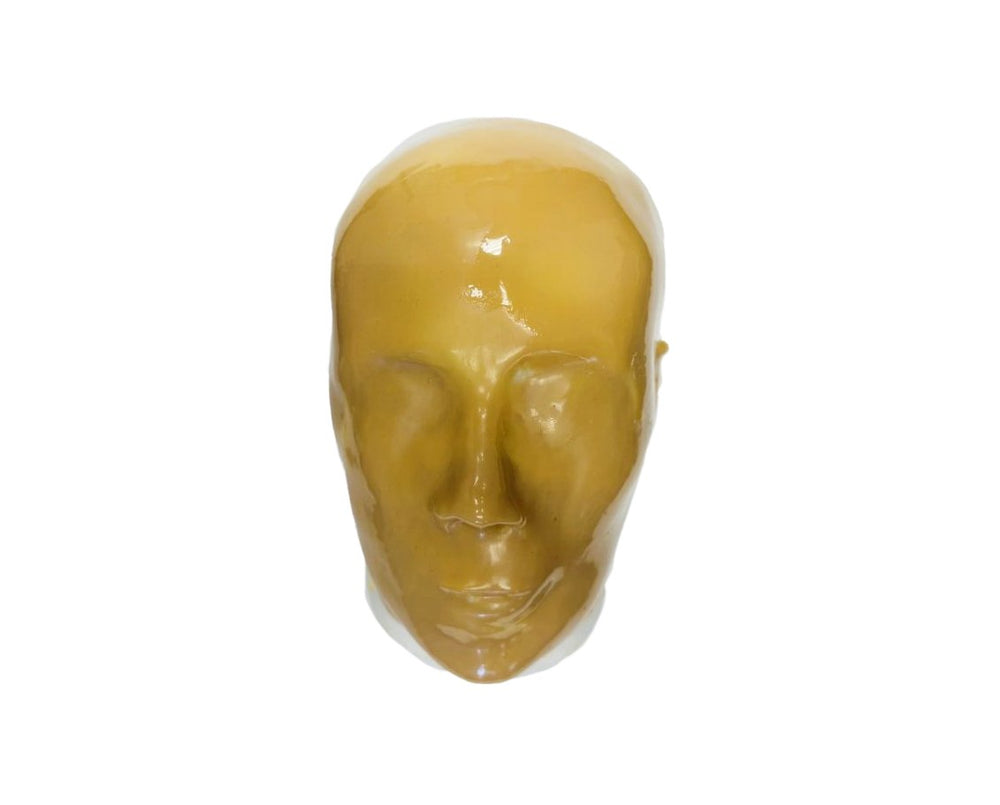 Adult Full Human Body Phantom for X-Ray CT & MRI Training ...