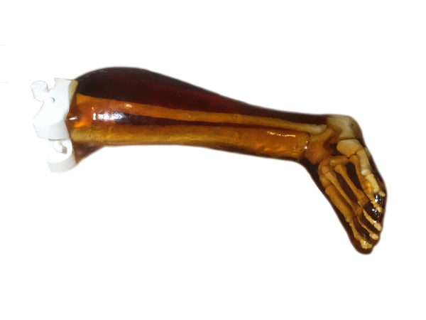 Adult Full Human Body Phantom for X-Ray, CT Scan and Ultrasound ...