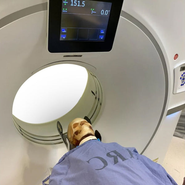 Adult Full Human Body Phantom for X-Ray, CT Scan and Ultrasound ...