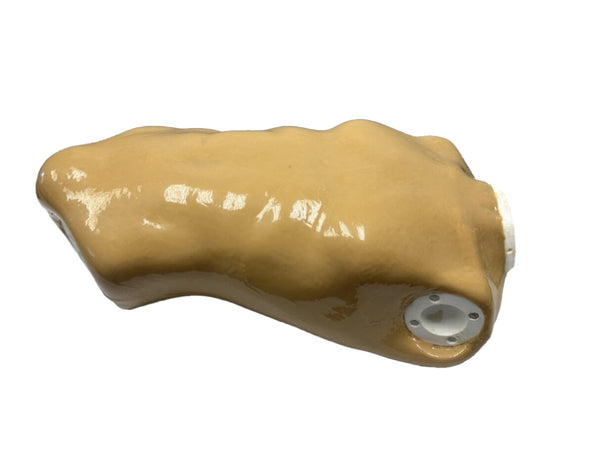 Adult Full Human Body Phantom for X-Ray, CT Scan and Ultrasound ...