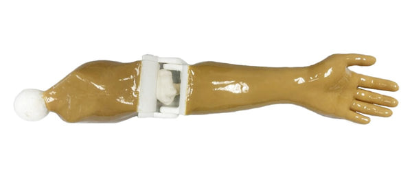 Adult Full Human Body Phantom for X-Ray, CT Scan and Ultrasound ...