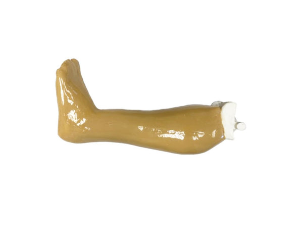 Adult Full Human Body Phantom for X-Ray, CT Scan and Ultrasound ...