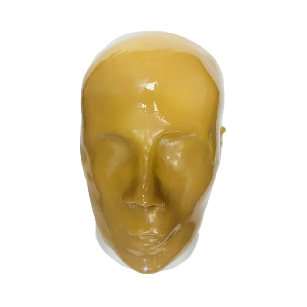 Adult Full Human Body Phantom (with Muscles) for X-Ray, CT Scan and Ul ...