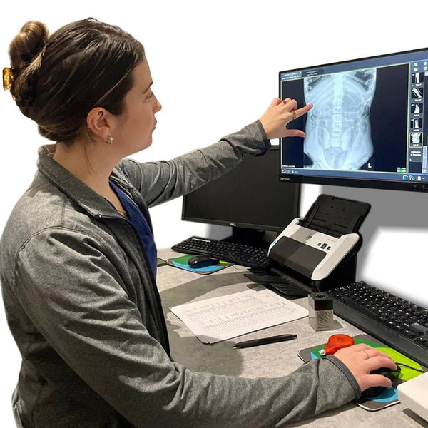 Adult Full Human Body Phantom (with Muscles) for X-Ray, CT Scan and Ul ...