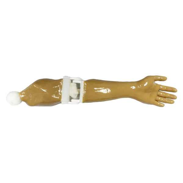 Adult Full Human Body Phantom (with Muscles) for X-Ray, CT Scan and Ul ...