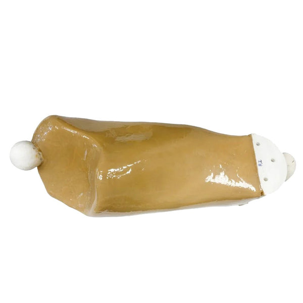 Adult Full Human Body Phantom (with Muscles) for X-Ray, CT Scan and Ul ...