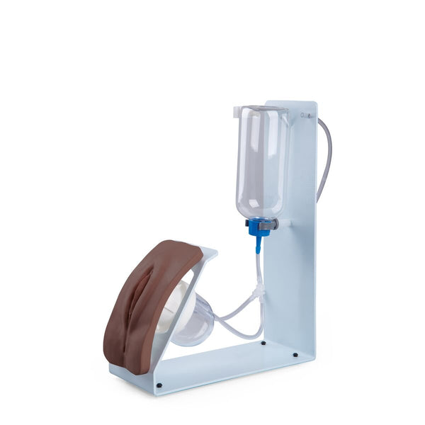 Catheterization Simulator, Basic Female, Dark Skin – GTSimulators.com