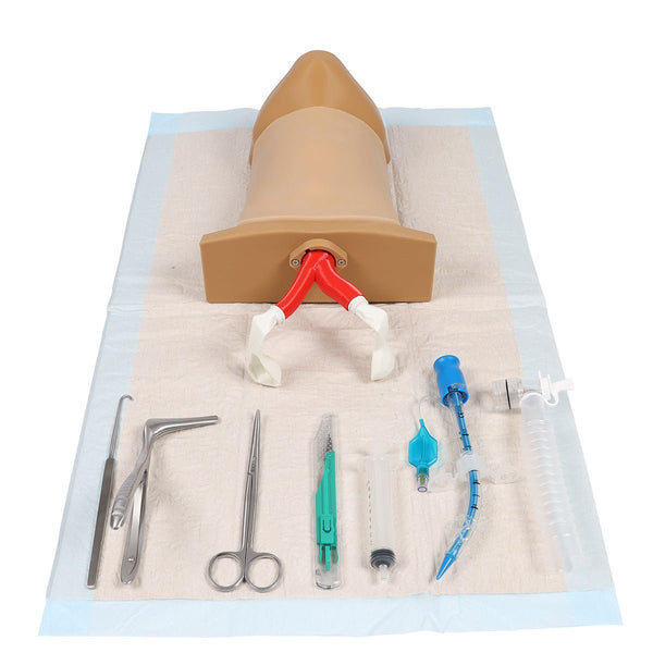 Crico Chris - Cricothyrotomy Task Trainer – GTSimulators.com