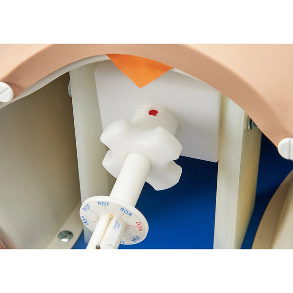 Debra Enhanced® - Impacted Fetal Head Simulator – GTSimulators.com