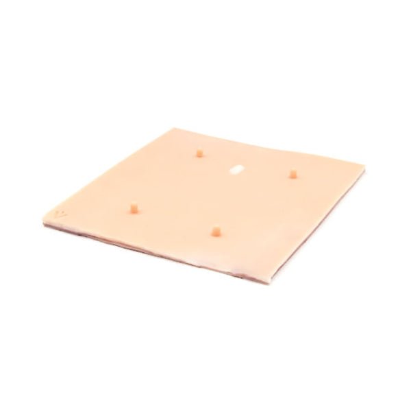 Dog Linea Alba Surgical Suture Training Pad for Veterinary Education ...