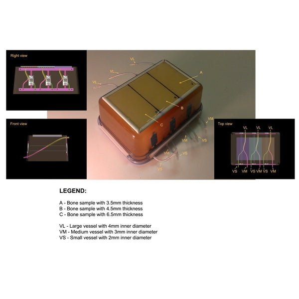 Doppler Phantom for X-Ray CT, Ultrasound and MRI – GTSimulators.com