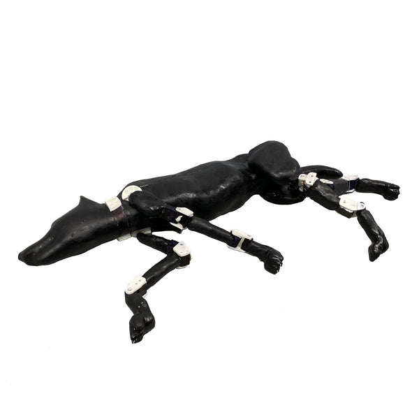 Female Dog Phantom for X-Ray and Ultrasound Imaging – GTSimulators.com