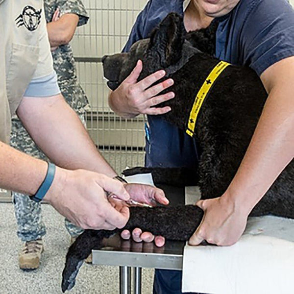 K9 HERO Full Body Canine Skills Trainer – GTSimulators.com
