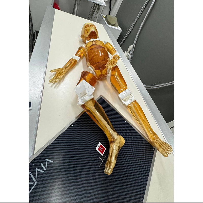 Pediatric Full Human Body Phantom for X-Ray CT & MRI Training ...