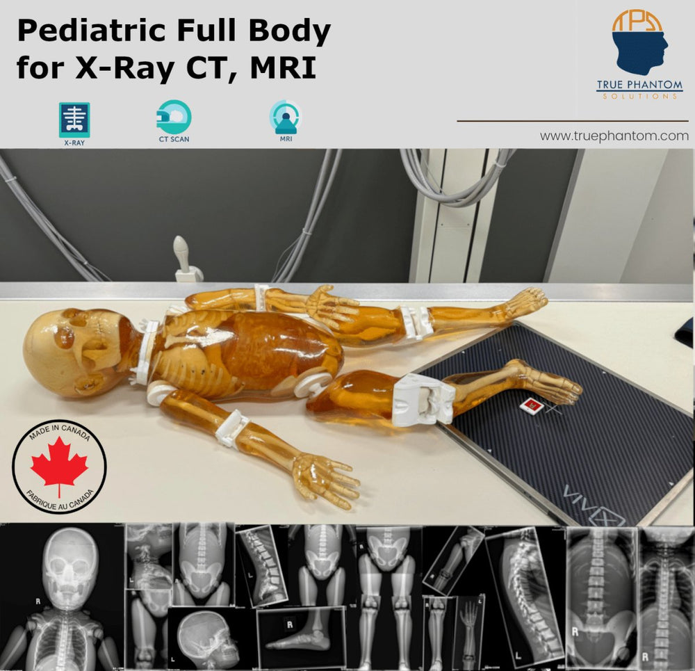 Pediatric Full Human Body Phantom for X-Ray CT & MRI Training ...
