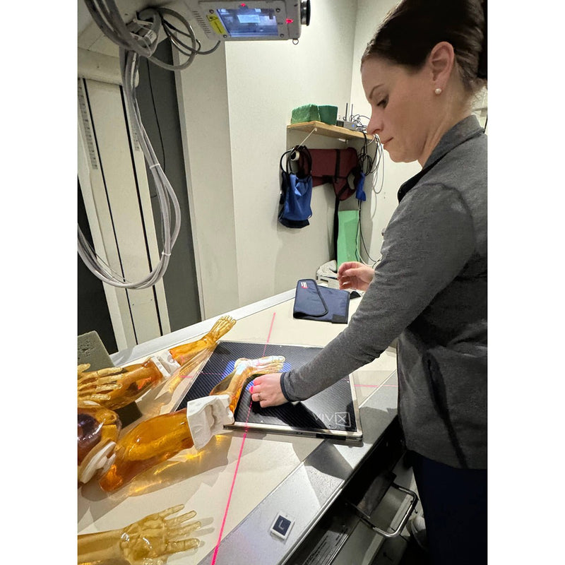 Pediatric Full Human Body Phantom for X-Ray CT & MRI Training ...