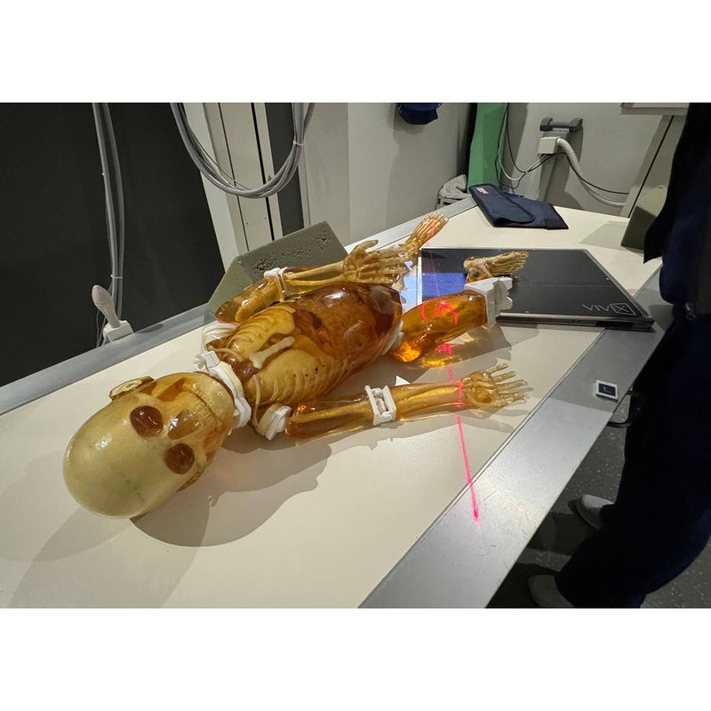 Pediatric Full Human Body Phantom for X-Ray CT & MRI Training ...