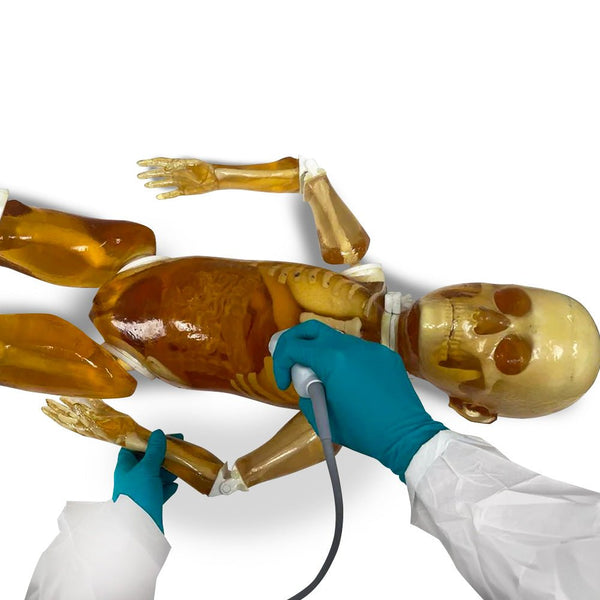 Pediatric Full Human Body Phantom for X-Ray, CT Scan and Ultrasound ...