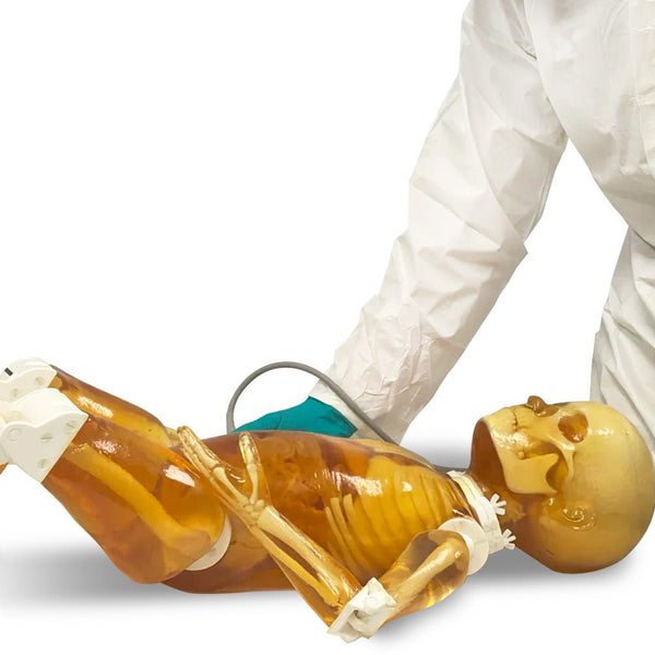 Pediatric Full Human Body Phantom for X-Ray, CT Scan and Ultrasound ...