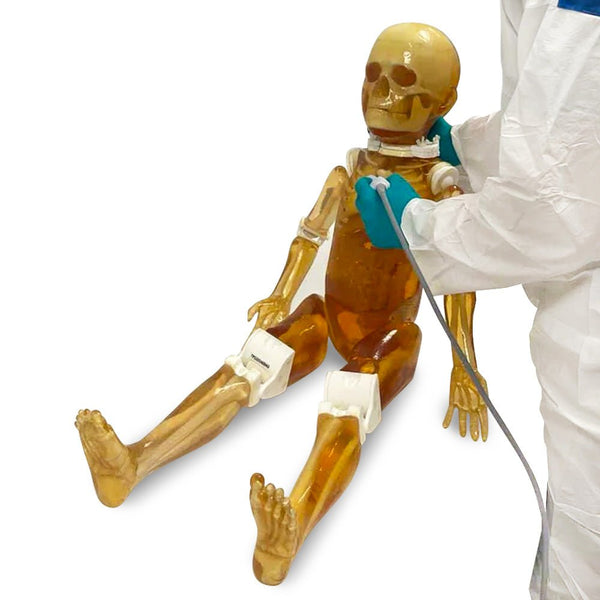Pediatric Full Human Body Phantom for X-Ray, CT Scan and Ultrasound ...