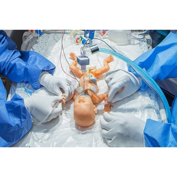Premie HAL® 24-Week Preterm Newborn Skills Trainer, Light ...