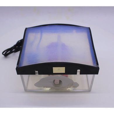 Cervical Spinal Column Models | Cervical Vertebrae Models ...