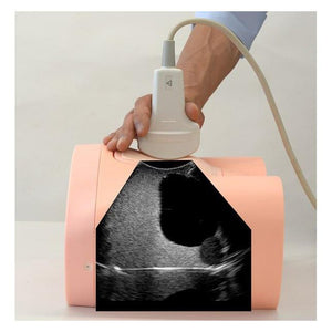 Medical Diagnostic Imaging Phantoms for Ultrasound, MRI and CT Training ...