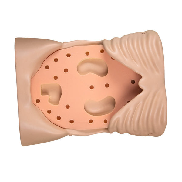 XR-Body - Abdominal Palpation Simulator with VR Headset and Cart with ...