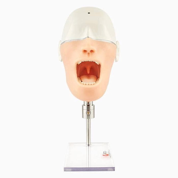 10-Sensor Oral Anesthesia Training Manikin – GTSimulators.com