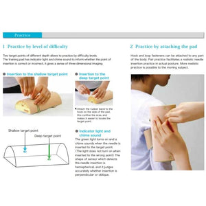 Acupuncture Models | Acupuncture Chart – GTSimulators.com