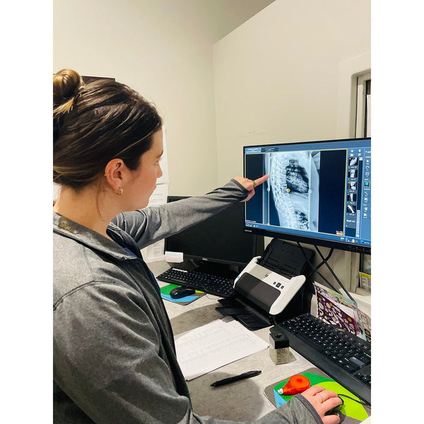 Adult Full Human Body Phantom (with Muscles) for X-Ray, CT Scan and Ul ...