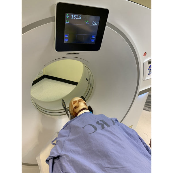 Adult Full Human Body Phantom (with Muscles) for X-Ray, CT Scan and Ul ...