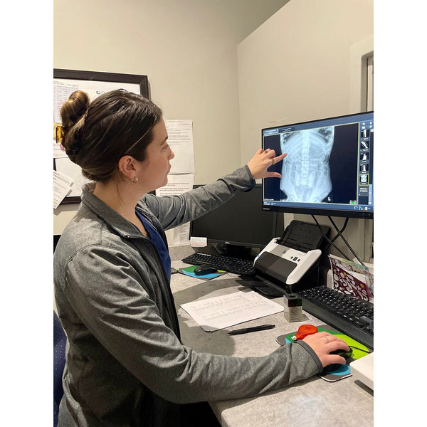 Adult Full Human Body Phantom (with Muscles) for X-Ray, CT Scan and Ul ...