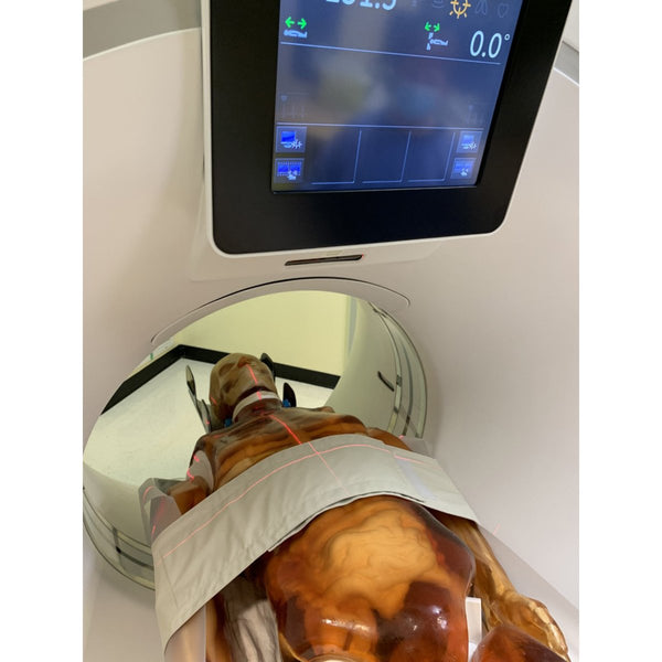 Adult Full Human Body Phantom (with Muscles) for X-Ray, CT Scan and Ul ...