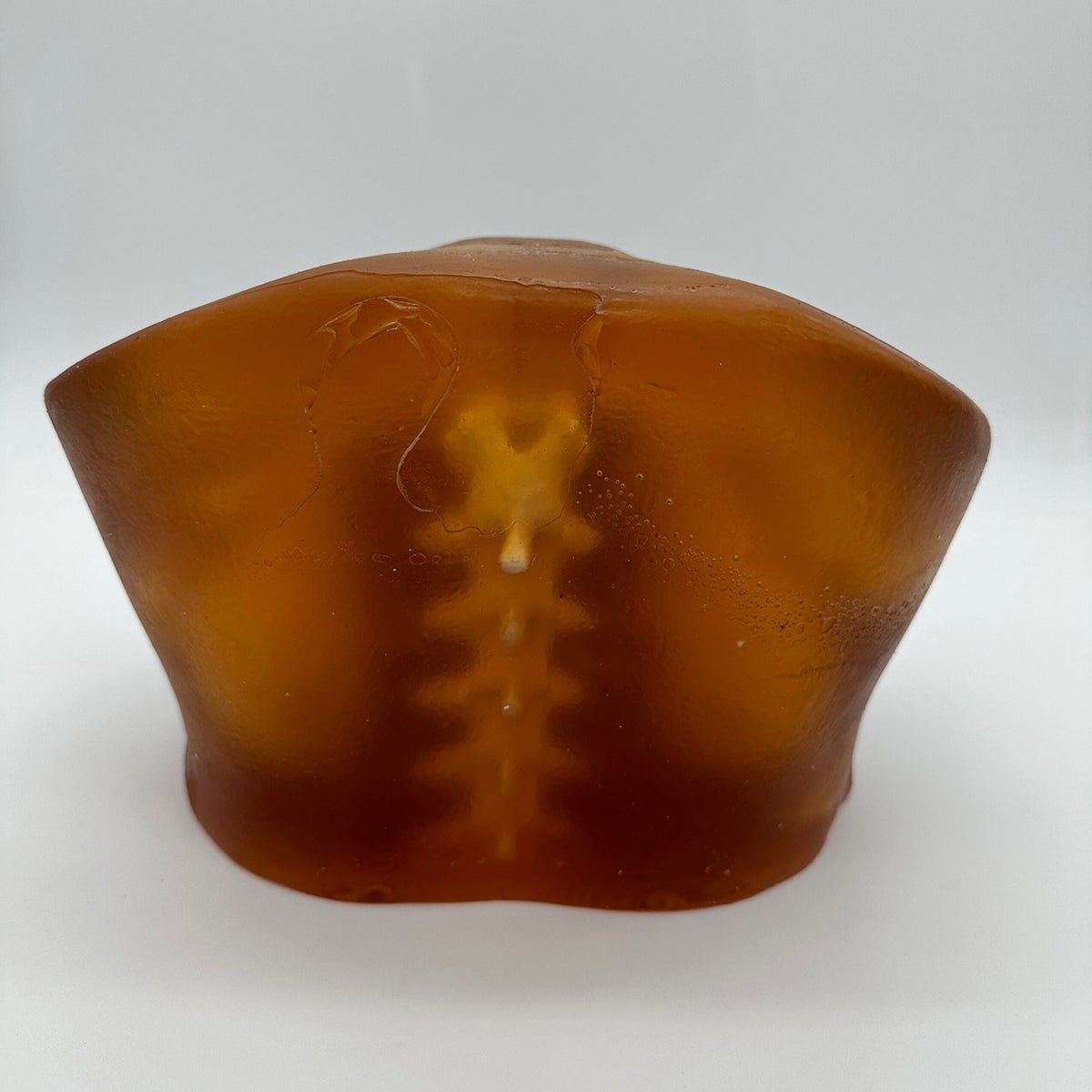 Adult Sectional Abdomen (Portable FAST Simulator) X-Ray, CT Scan and U ...