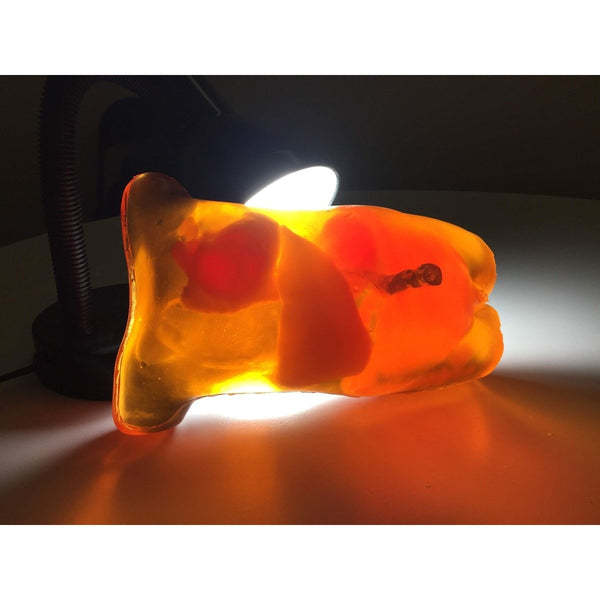 Advanced Newborn Torso for X-Ray CT and MRI – GTSimulators.com