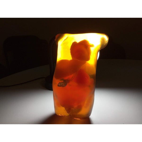 Advanced Newborn Torso for X-Ray CT and MRI – GTSimulators.com