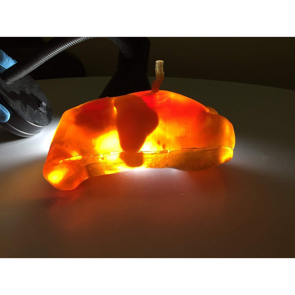 Advanced Newborn Torso for X-Ray CT and Ultrasound – GTSimulators.com