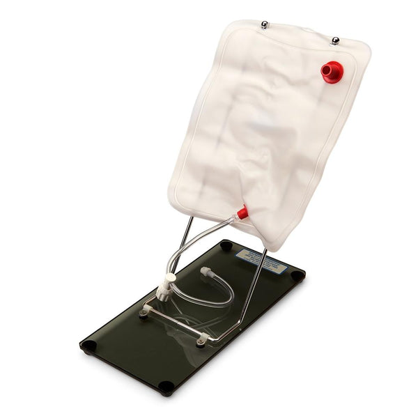 Advanced Obstetric Birthing Torso Simulator | Advanced OB Susie ...