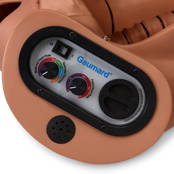 Advanced Obstetric Birthing Torso Simulator | Advanced OB Susie ...