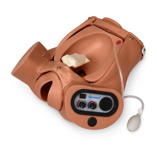 Advanced Obstetric Birthing Torso Simulator | Advanced OB Susie ...