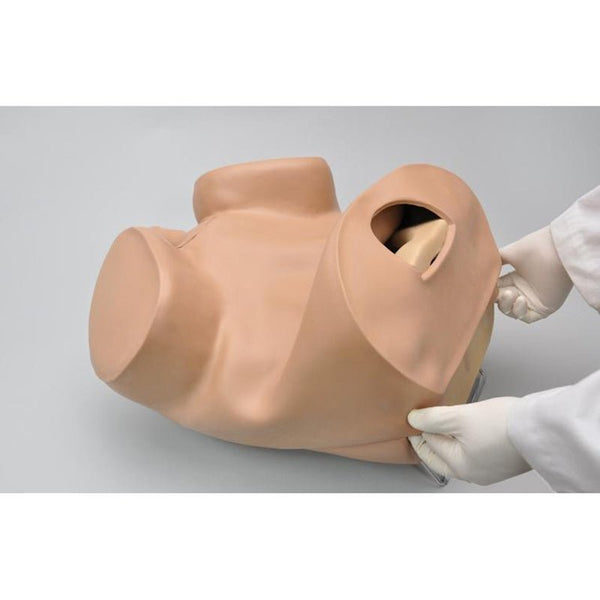 Advanced Patient Care Male Prostate Simulator, Light – GTSimulators.com