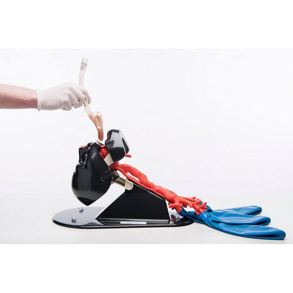 AirSim Bronchi Model with Nasal Passage – GTSimulators.com