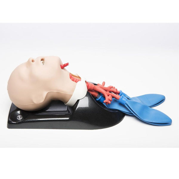 AirSim Child Combo Bronchi X Model – GTSimulators.com