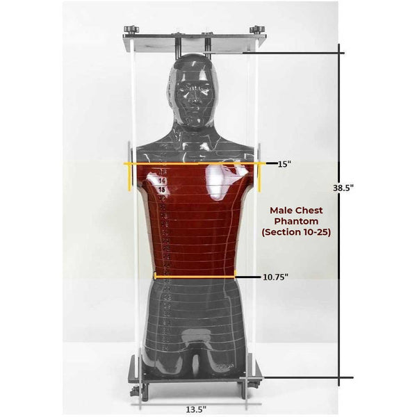 Alderson Radiation Therapy (ART) - Male Chest Phantom – GTSimulators.com